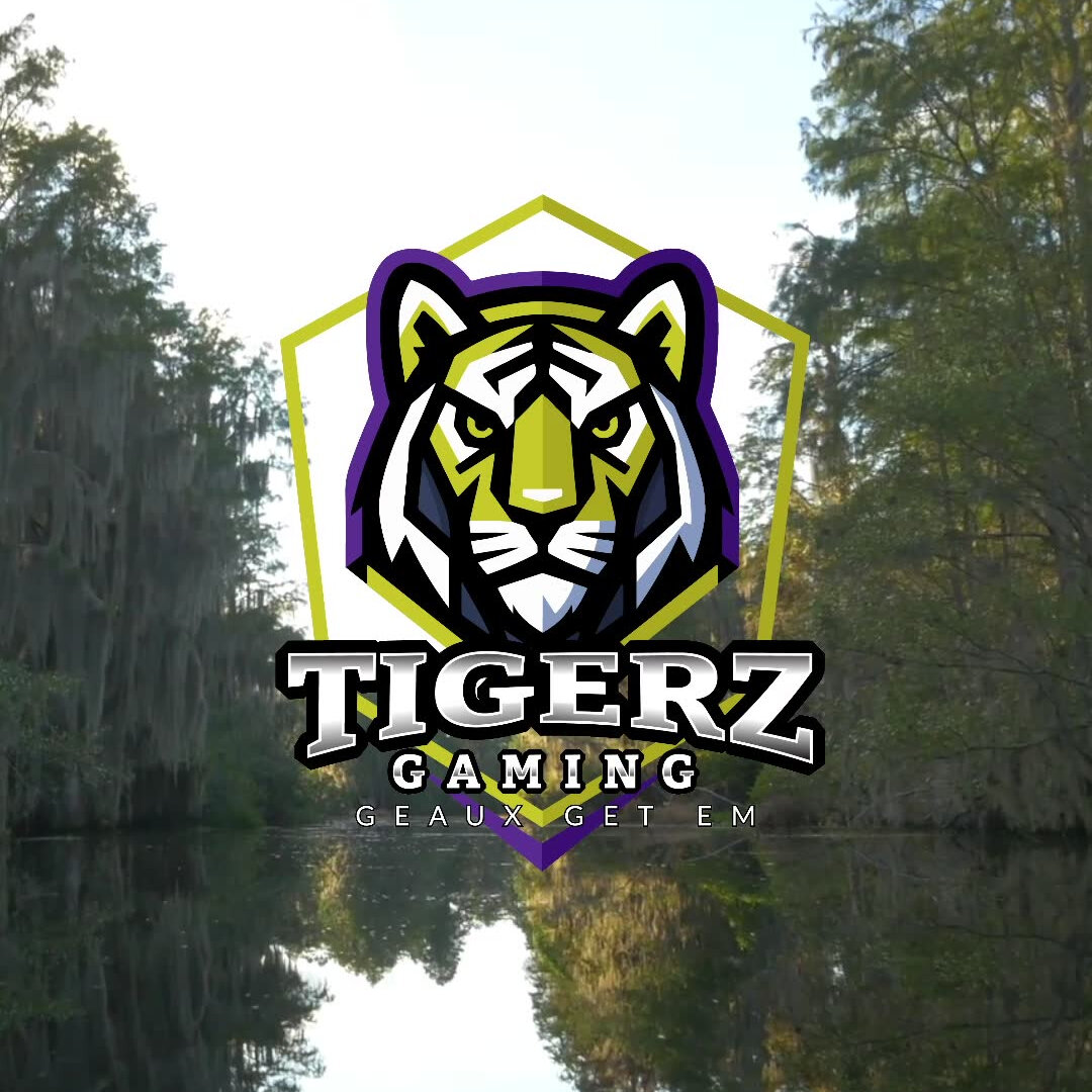 Tigerz Gaming (@tigerzgaming1) is LIVE - TikTok LIVE